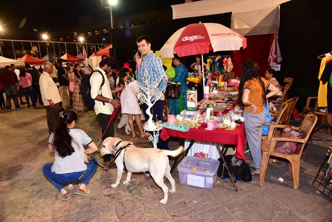 Take Your Dogs On A Pet Carnival I LBB, Mumbai