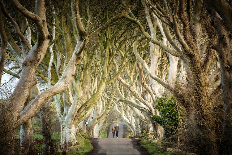 GOT Inspired Tour Packages By Veena World | LBB