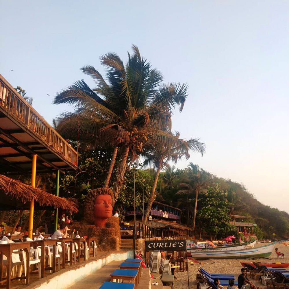 Curlies & Shiva Valley | LBB