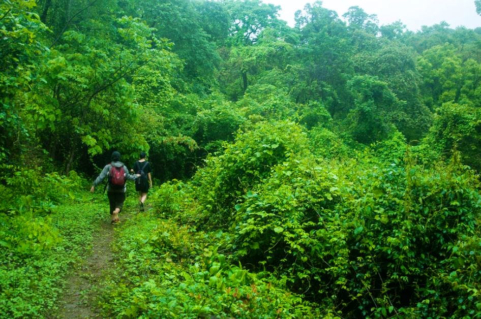 The Nagla Forest Trail | LBB, Mumbai