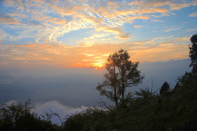 Visit Neora Valley National Park In Kalimpong | LBB, Kolkata
