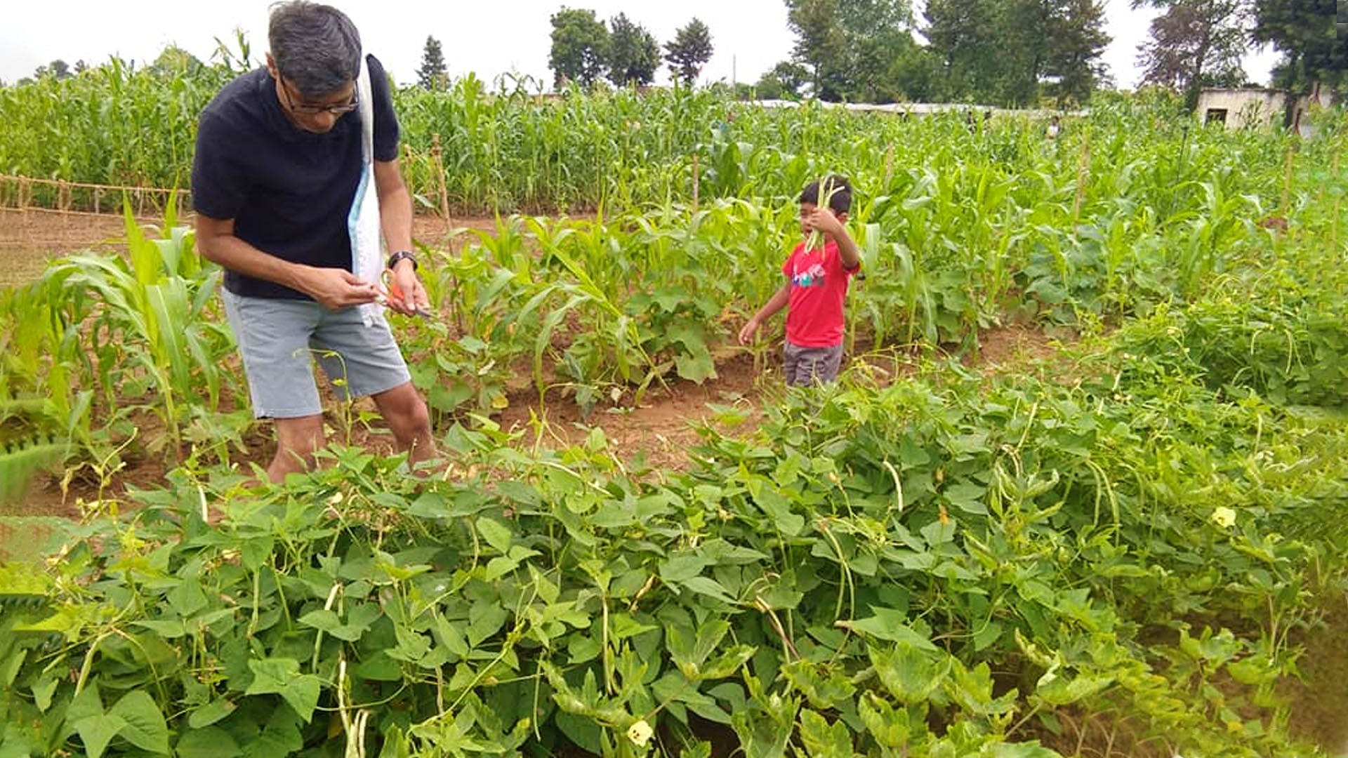 Sign Up For An Urban Farming Workshop With Edible Routes | LBB Delhi