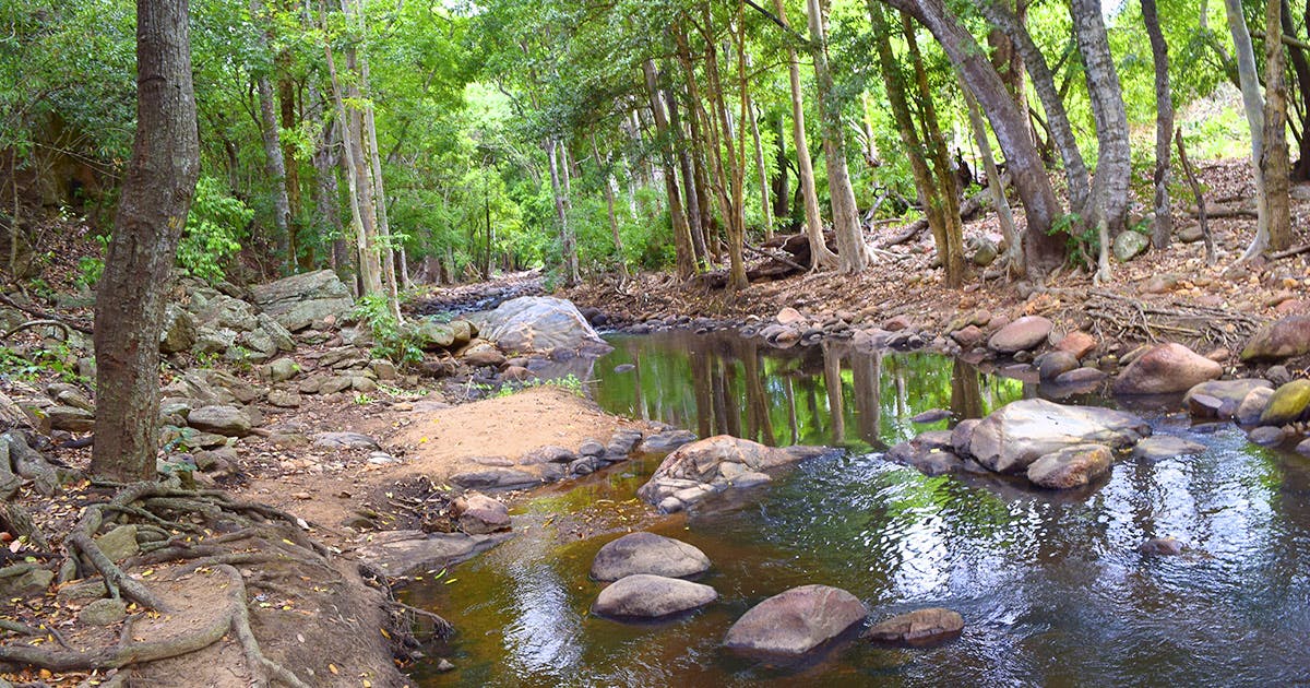 Head To Chinnar Wildlife Sanctuary, Munnar | LBB, Bangalore