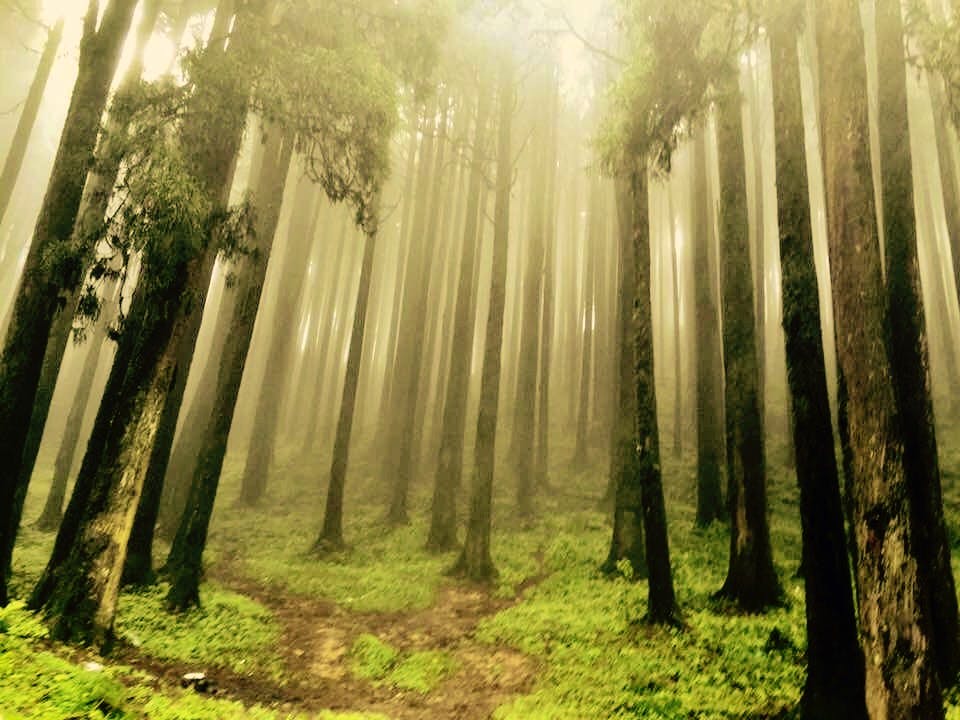 Visit Lepchajagat For A Short Break | LBB, Kolkata