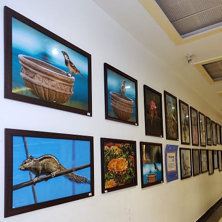 Visit Bird Photography Exhibit | LBB