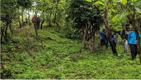 Sign Up For Narsapur Forest Hike | LBB, Hyderabad