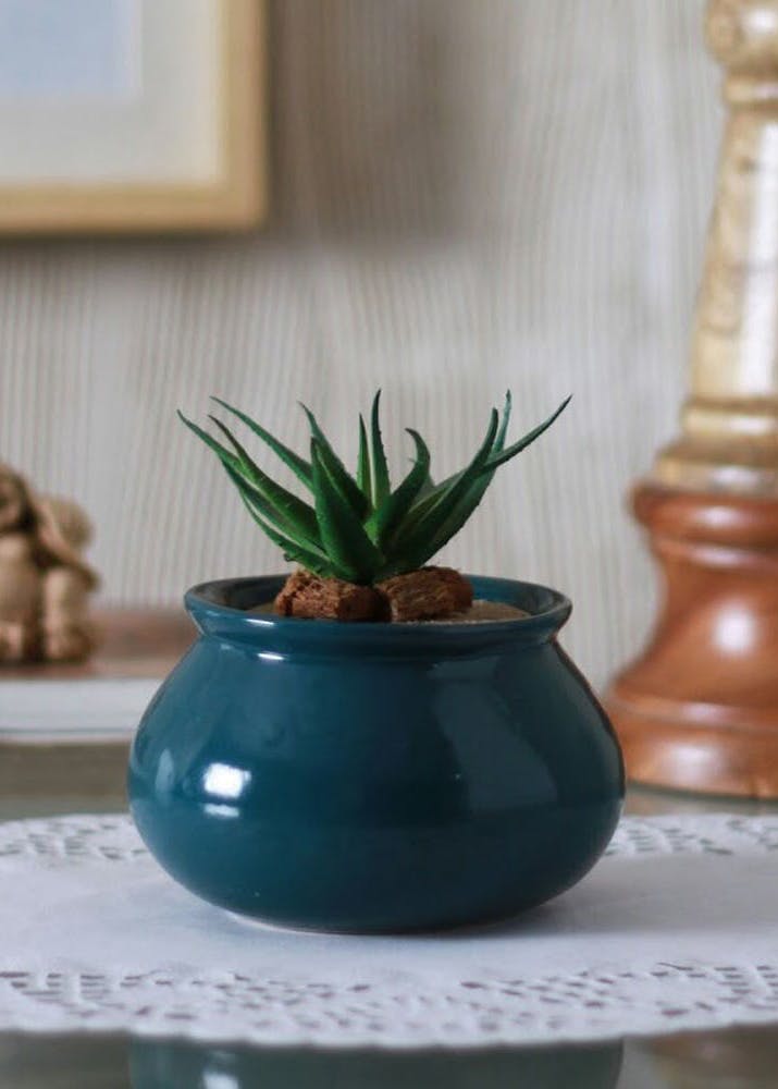 Green Leaf Store In Chembur For Planters I LBB, Mumbai