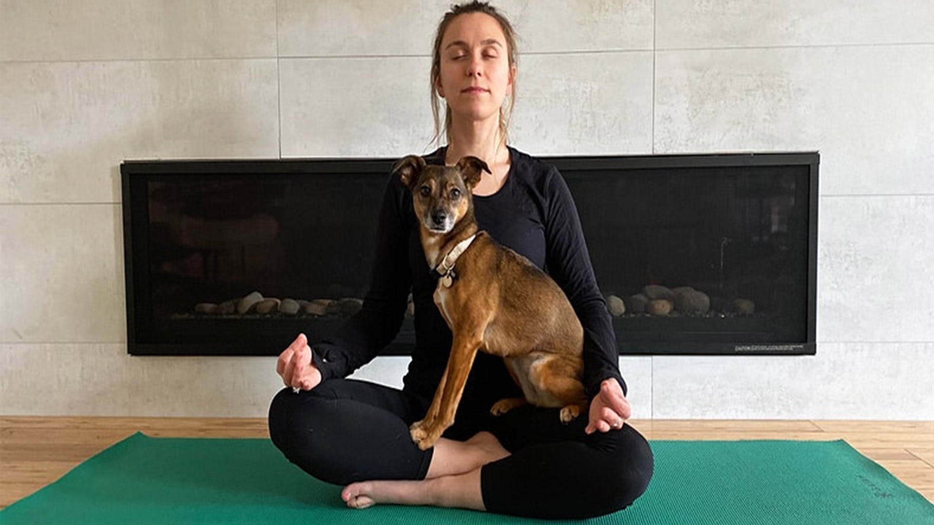 Sign Up For This Online Meditation Class With Your Dog | LBB