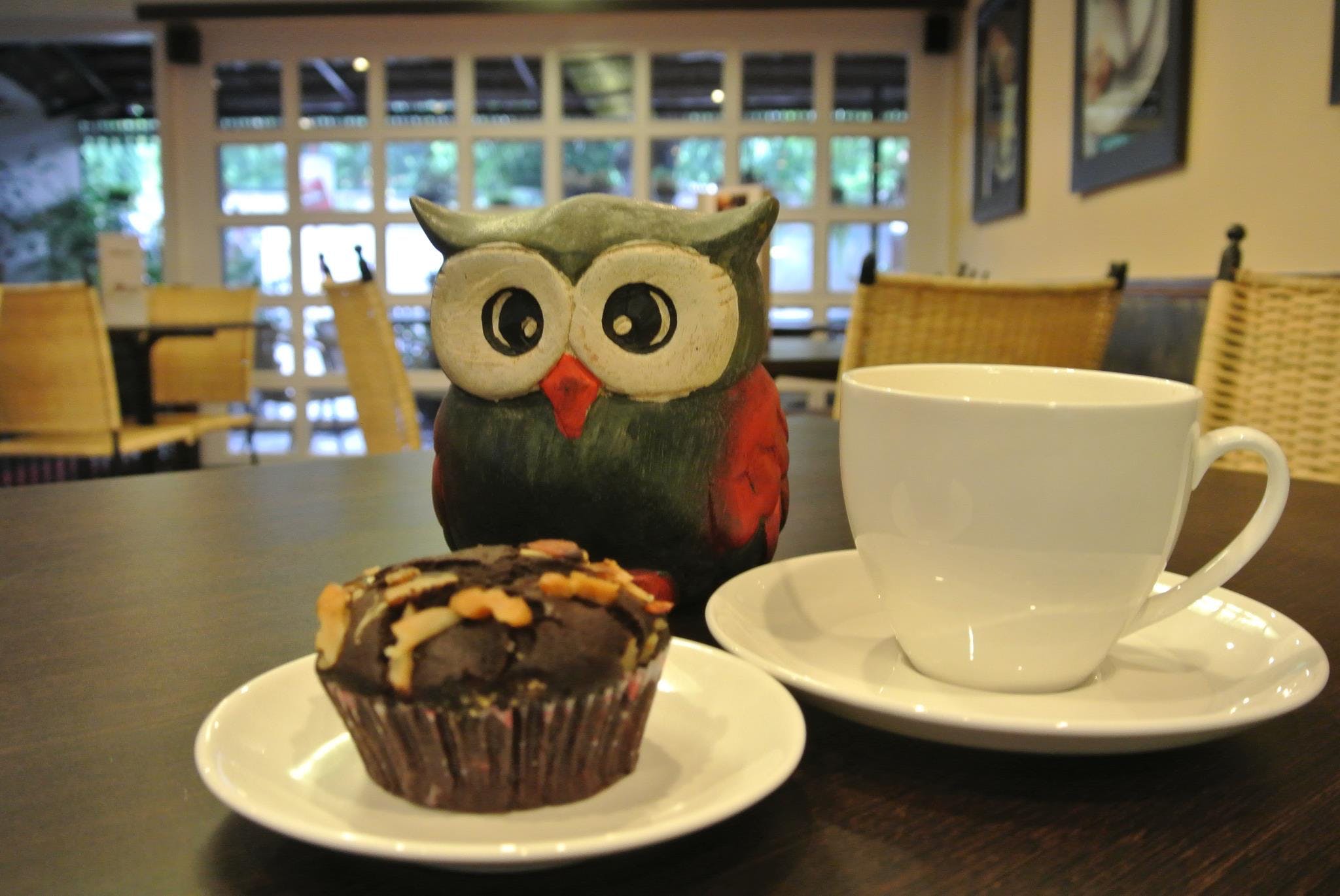 Order Breakfast From Wise Owl | LBB, Kolkata