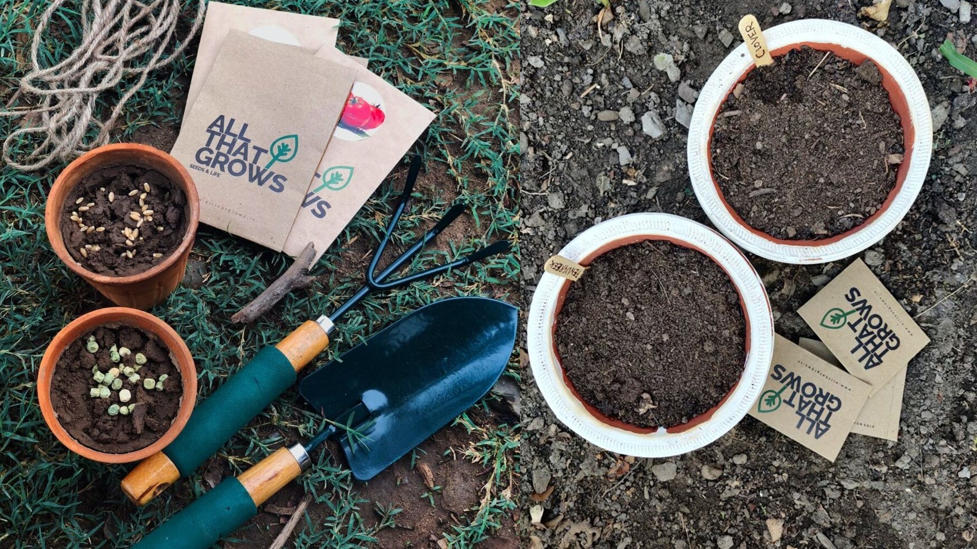 Check Out AllThatGrows, A Seed Store | LBB