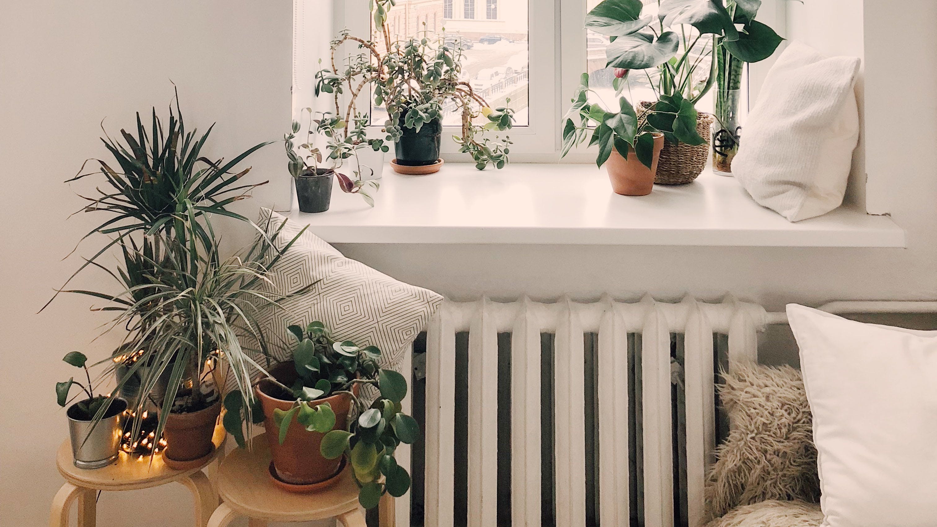 Easy Ways To Decorate Your Window | LBB