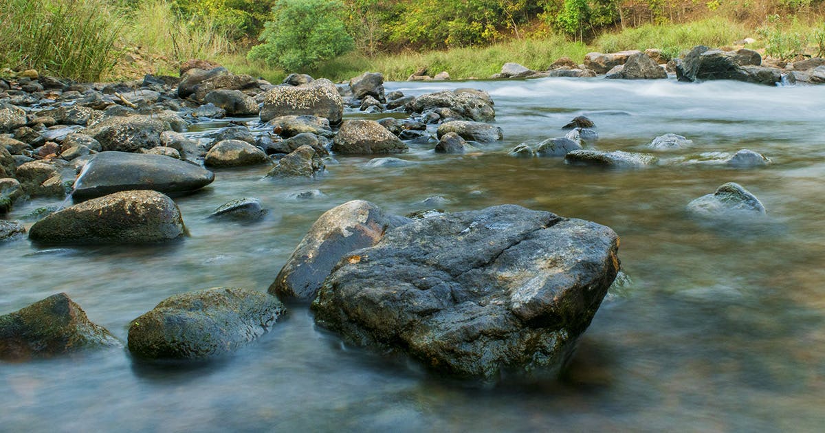 Make A Weekend Getaway To Maredumilli | LBB, Hyderabad