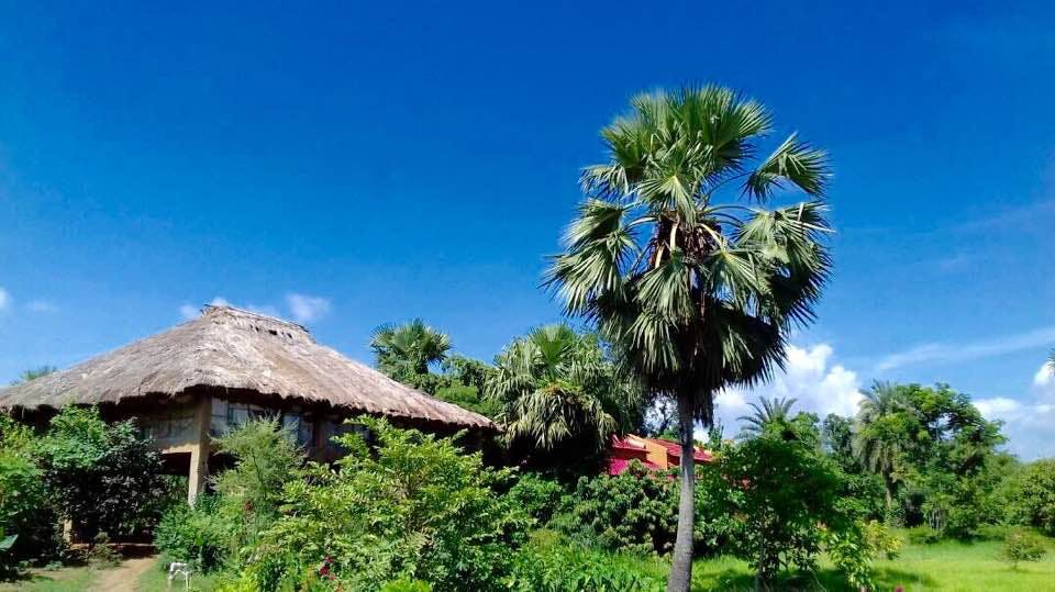 Visit Belun Eco Resort For A Retreat In Nature's Biodiversity | LBB