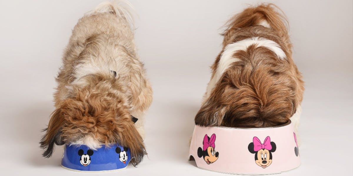 Check Out the New Disney Collection By Heads Up For Tails