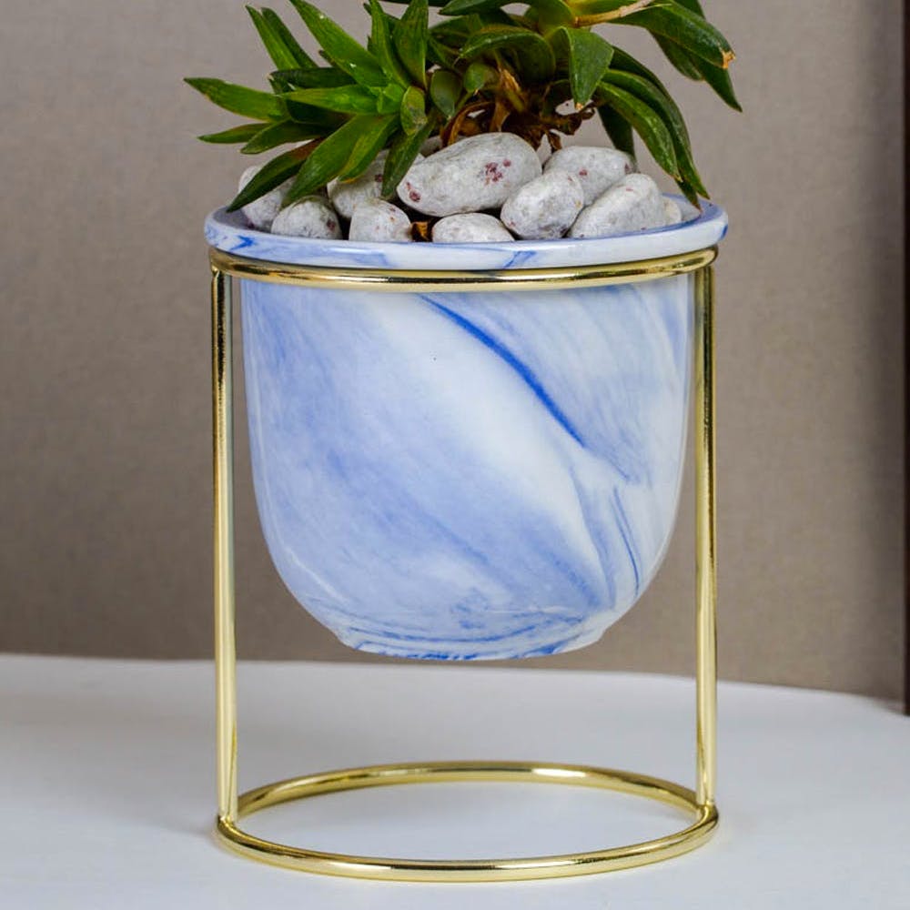 Buy Ceramic Pots And Planters Online | LBB