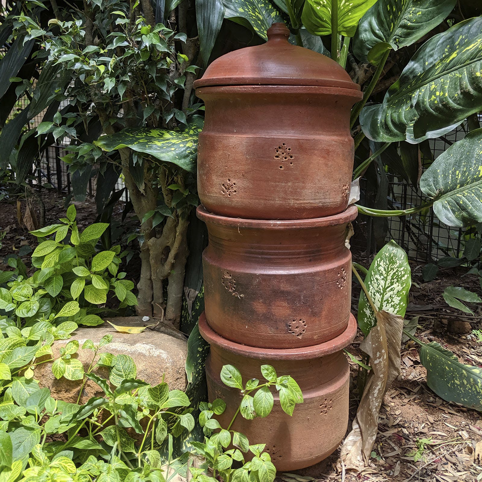 Sign Up For A Composting Workshop With Daily Dump | LBB