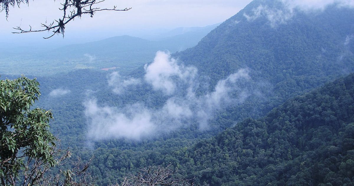 Must Visit India's Best Hill Stations Near Goa | LBB, Goa