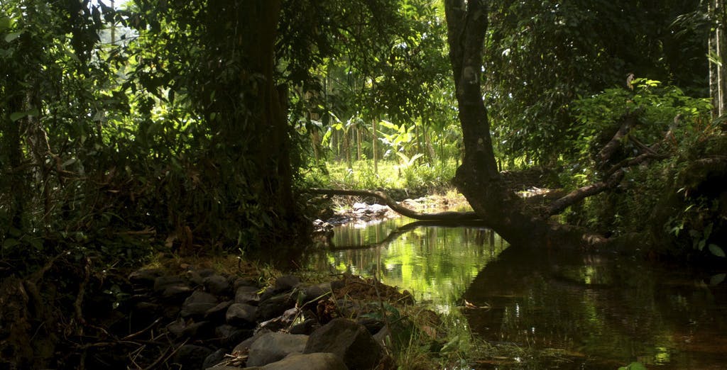 Visit Netravali Bubble Lake In South Goa | LBB