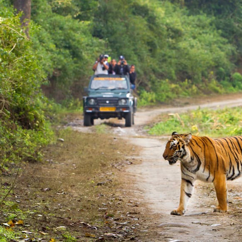 Book Outstation Cabs Easily with Uber Intercity | LBB Delhi