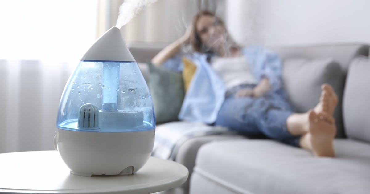 Best Humidifiers & Heaters To Buy Online | LBB
