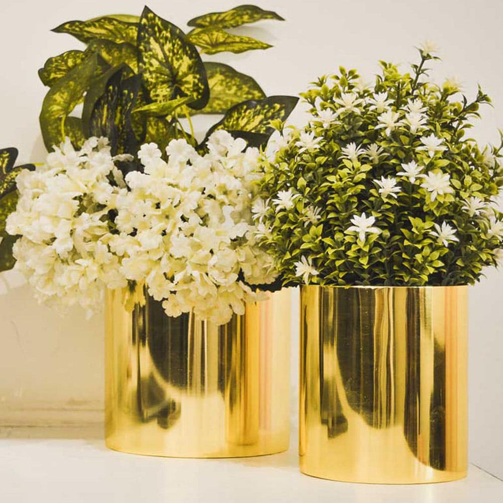 Shop Best Planter Sets Online | LBB