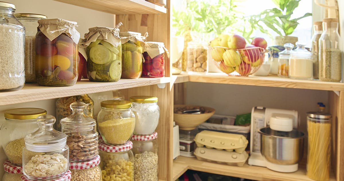 How To Keep Your Kitchen Pest Free | LBB