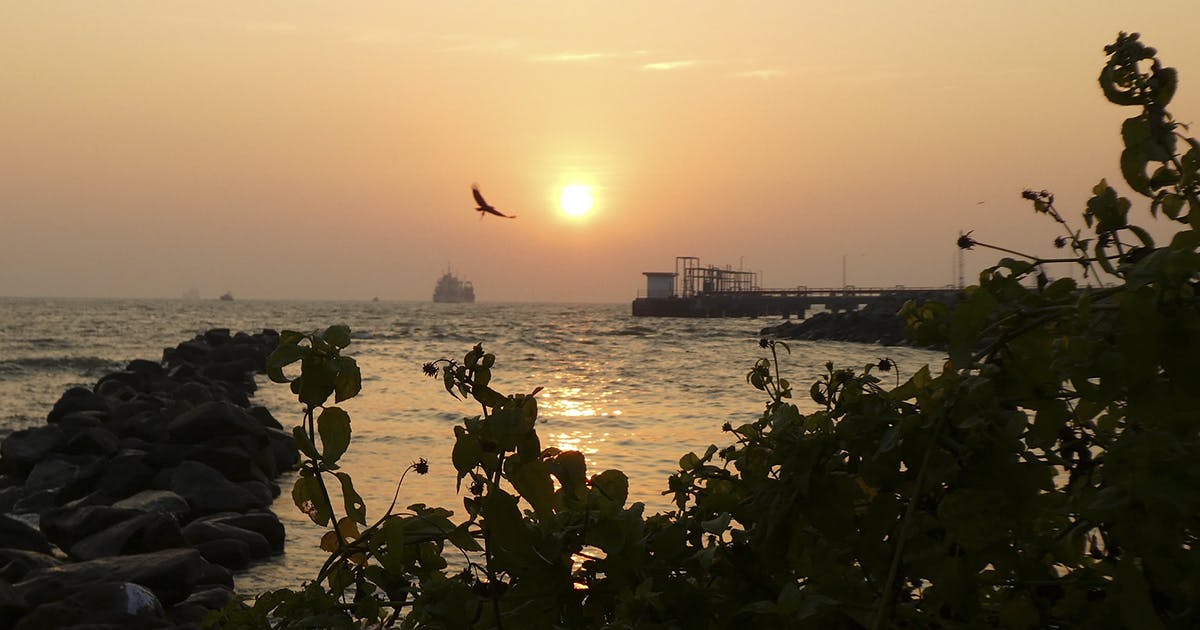 The Best Islands To Visit Near Kochi | LBB