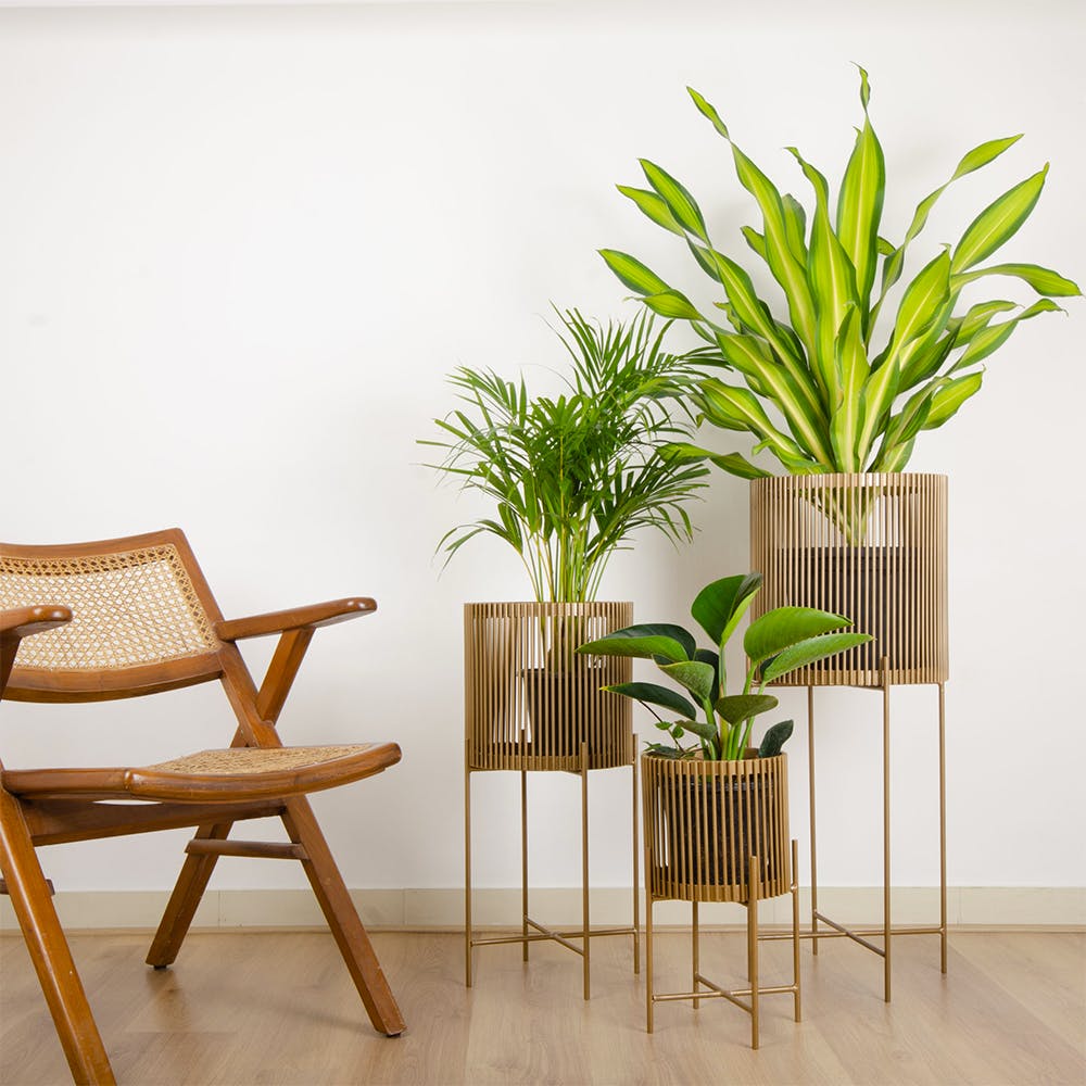 Best Wedding Decor Ideas For Shaadi Season | LBB