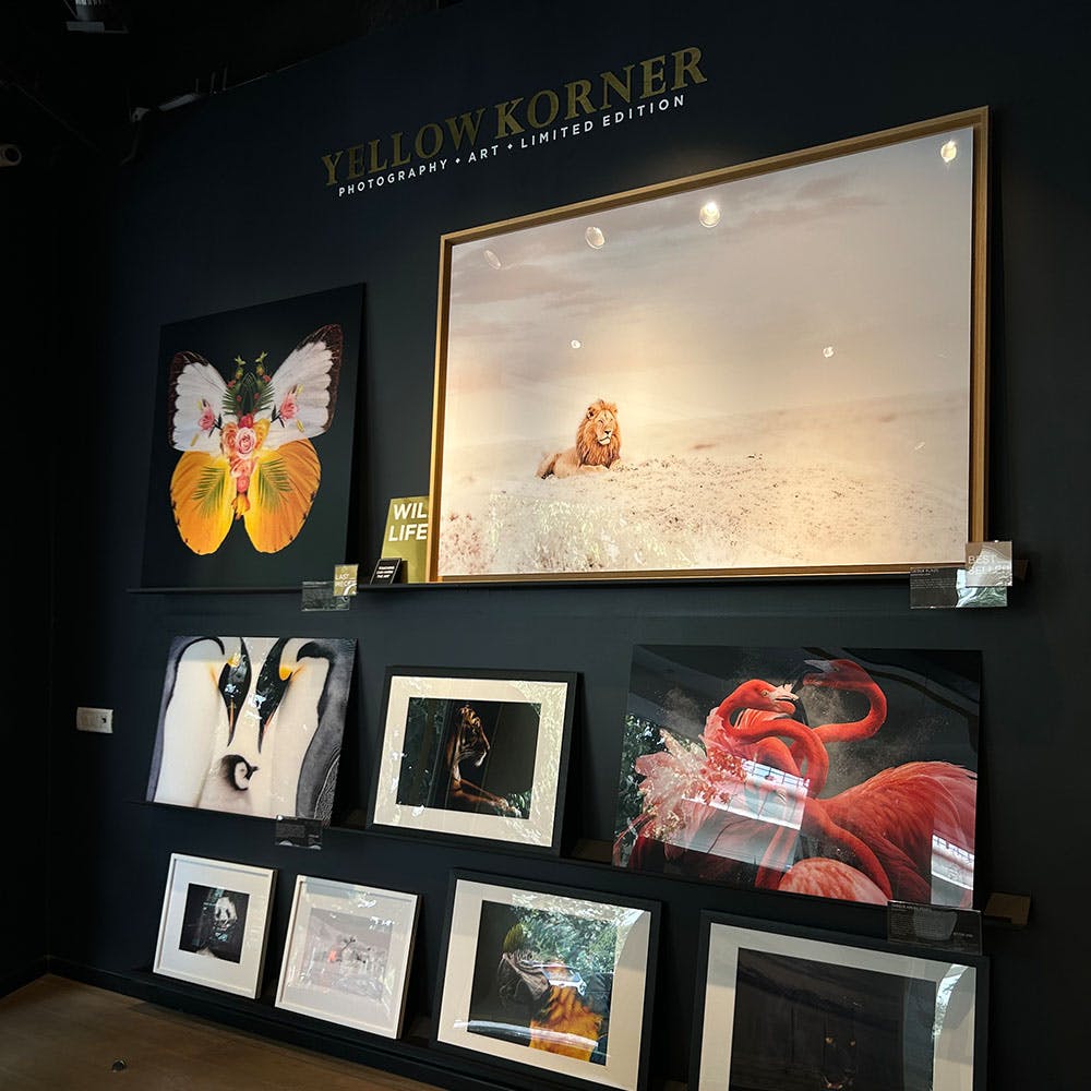 Loving The Vibe, Ambience & Collection At Yellow Korner