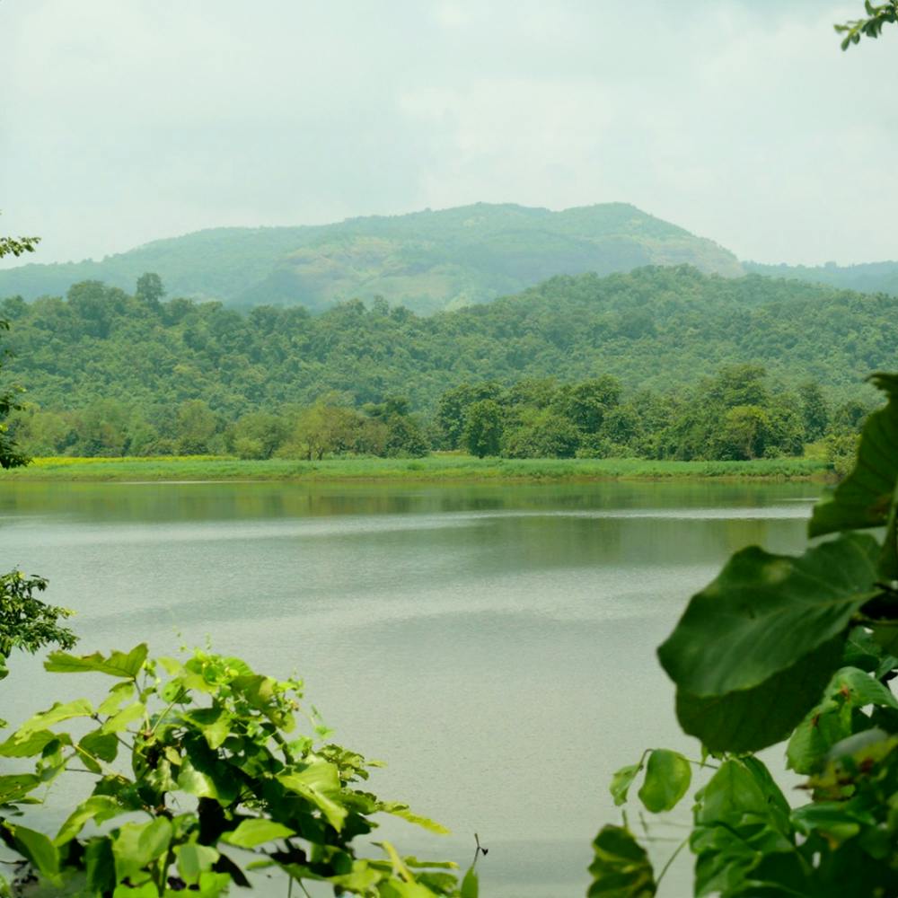 Kolad Travel Guide: Where To Stay, Eat, And Visit | LBB, Pune