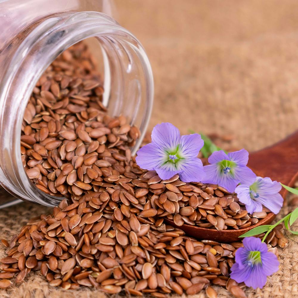Advantages Of Flax Seeds & How To Consume Them | LBB